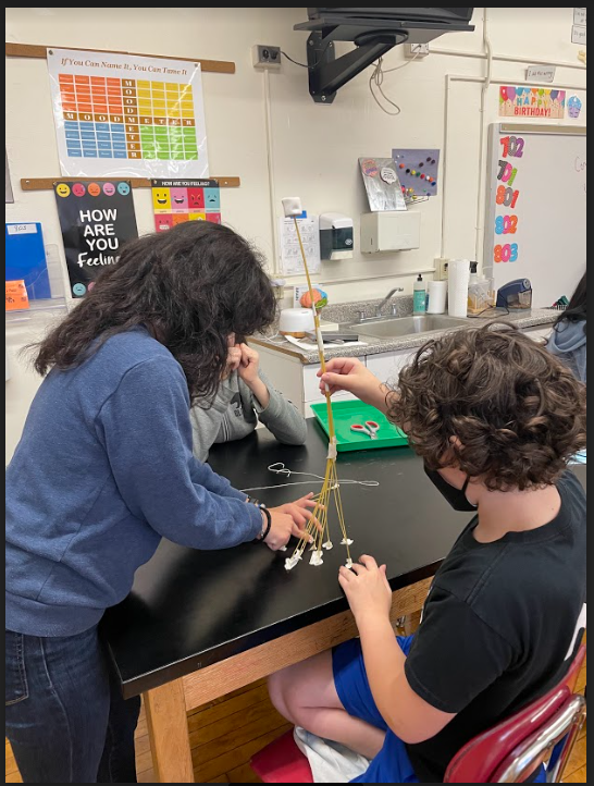 Becoming a Science Immersion (Grades 5-9) Fellow! – NYC Teaching ...