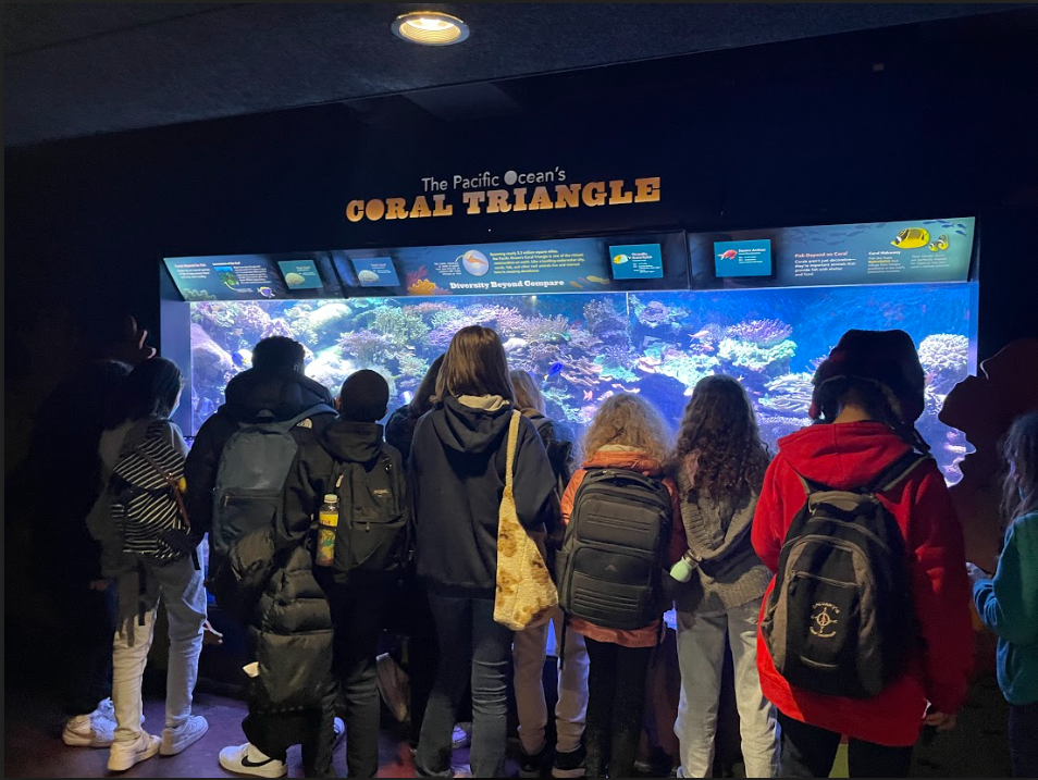 Becoming a Science Immersion (Grades 5-9) Fellow! – NYC Teaching ...