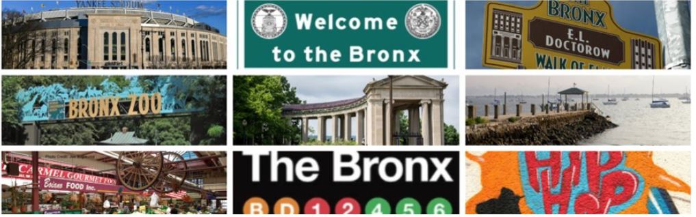 Learn more about the Bronx Cohort – NYC Teaching Fellows - Support Center